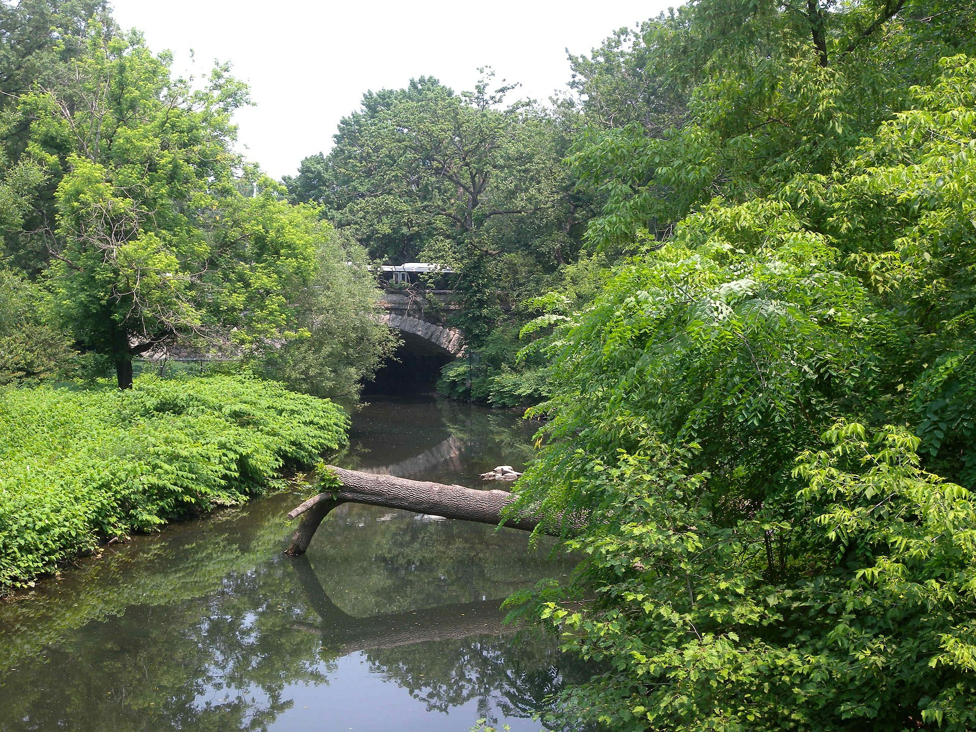 Bronx River Alliance: Bringing New Life to the Bronx River - Great ...